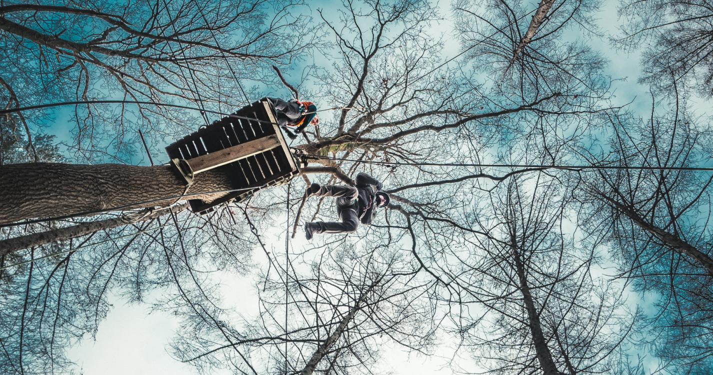 Dinant Evasion Adventure Park